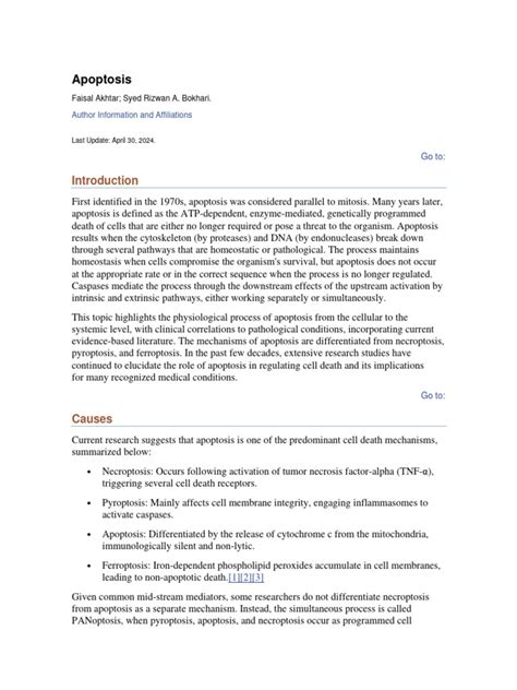 Apoptosis Pdf Apoptosis Caspase