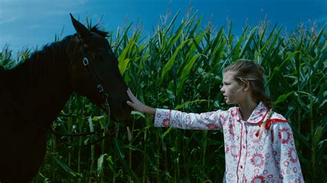 American Fable 2016
