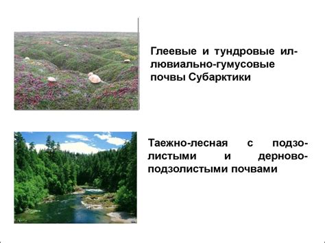 Классификация, таксономия и номенклатура почв - online presentation