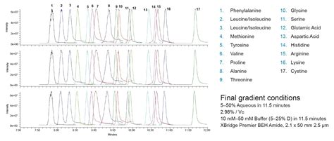 Development And Optimization Of A Hilic Ms Separation Of 17 Free Amino Acids Using An Xbridge