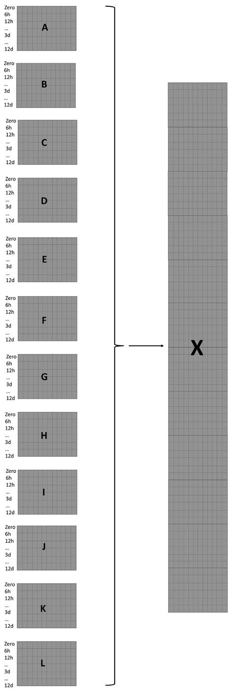 Scheme Of The Procedure For The Augmented Matrix X The Matrix Formed
