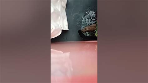 라지입니다 도마뱀 레오파드게코 맛있다 먹방 게코 Youtube