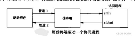 伪终端 Csdn博客