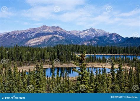 Interior Alaska Stock Image Image Of Vacation United 22095917