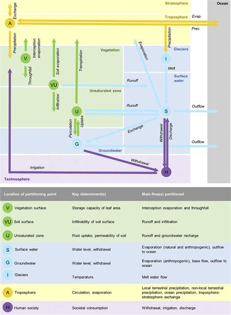 Water Partitioning Points In The Hydrological Cycle Over Land Adapted Download Scientific