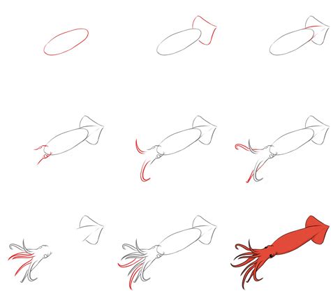 23 Easy And Beautiful Squid Drawing Ideas Drawing Photos