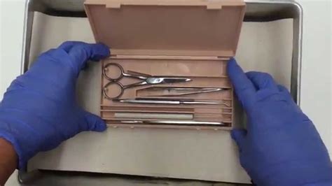Mammal Organs Dissection Kit 47 Off