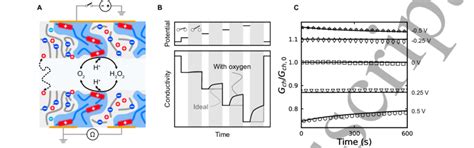 Organic Neuromorphic Device Structure Functionality And Limitations