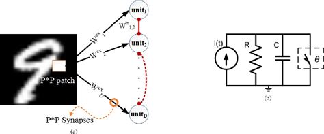 Figure 1 From Bio Inspired Spiking Convolutional Network Using Layer Wise Sparse Coding And Stdp