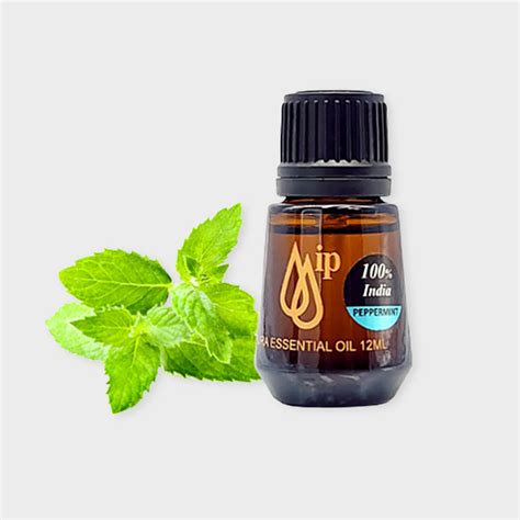 유기농 100 페퍼민트 천연 에센셜 오일 12ml 기프트사파리