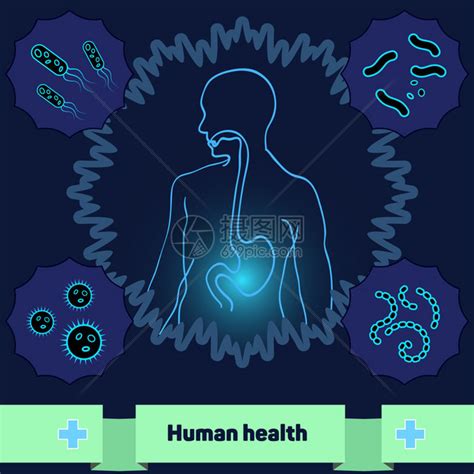 人体不含危险的细菌和微生物插画图片下载 正版图片402292388 摄图网
