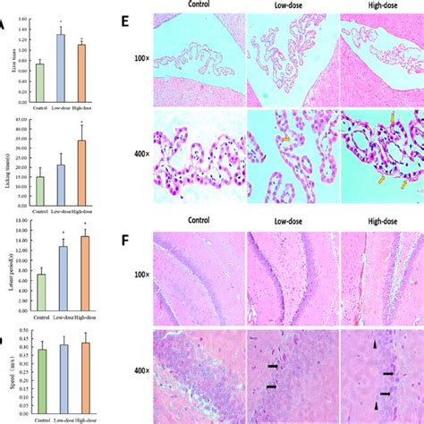 Go Enrichment Bar Plot Display Top Go According To P Value And Kegg