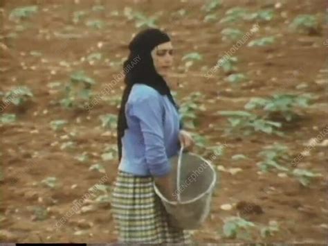 Farmer Cultivating Crops Stock Video Clip K0116188 Science Photo