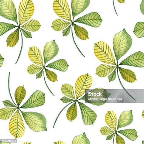 밤나무의 녹색과 빨간색 잎으로 수채화 매끄러운 손으로 그린 패턴 0명에 대한 스톡 벡터 아트 및 기타 이미지 0명 가을 가을 단풍 Istock