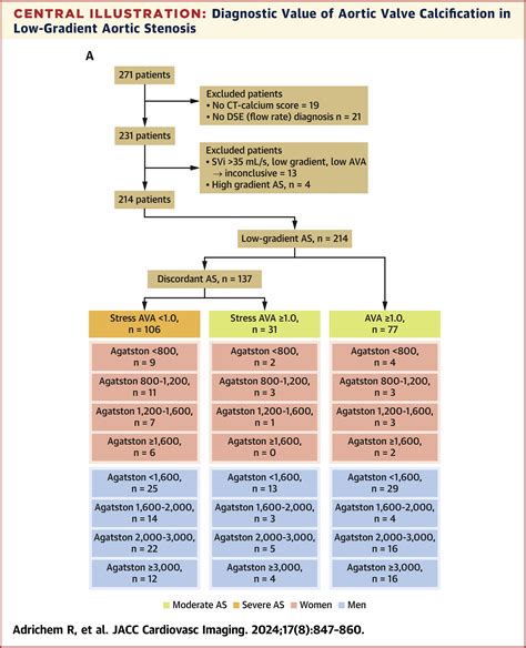 Diagnostic Value Of Aortic Valve Calcification Levels In The Assessment