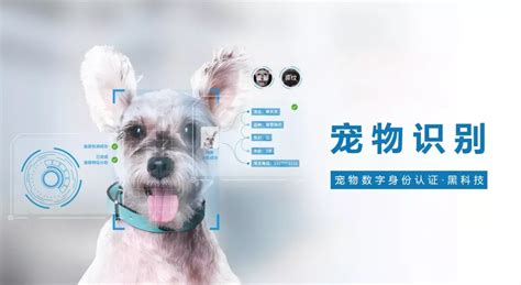 悦保科技2021关键词盘点走在AI赋能数智生活的路上 知乎