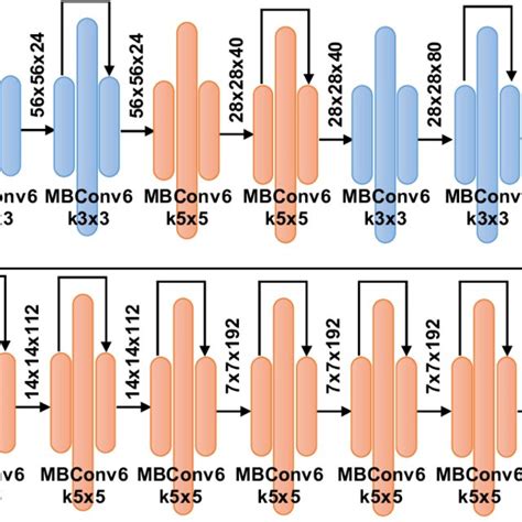 illustration of the effecientnet b3 architecture 10 3646 million
