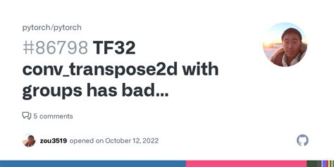 Tf32 Convtranspose2d With Groups Has Bad Precision Compared To Fp32 · Issue 86798 · Pytorch