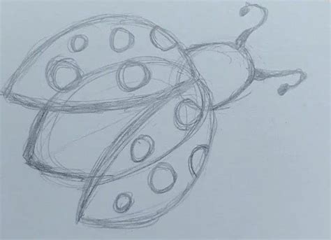 How To Draw A Ladybug Step By Step Art By Ro