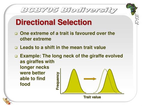 Ppt Evolution Selection And Speciation Powerpoint Presentation Free