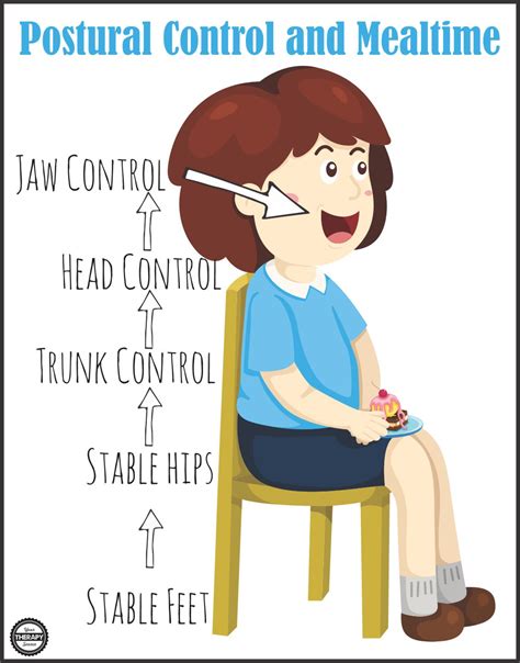 Postural Control Gross Motor Development And Mealtime Your Therapy Source