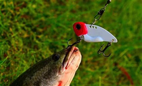 Why Blade Baits Are Best For Bass Fishing Fishing Tackle Hub