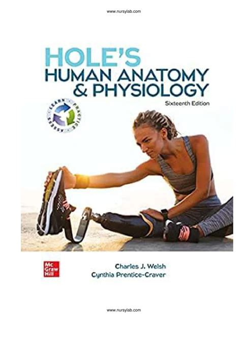 Holes Human Anatomy And Physiology 16th Edition Welsh Test Bank