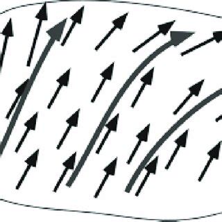 Vector Field And Its Flow Download Scientific Diagram