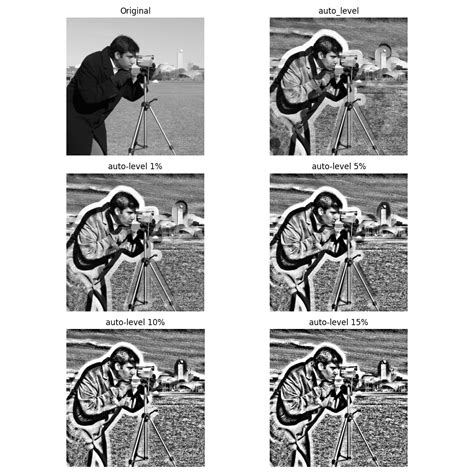 Rank Filters — Skimage 0 25 1 Documentation