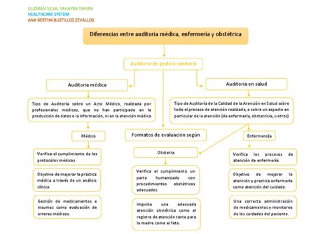 Auditoria En Salud Pdf Auditoría Partería