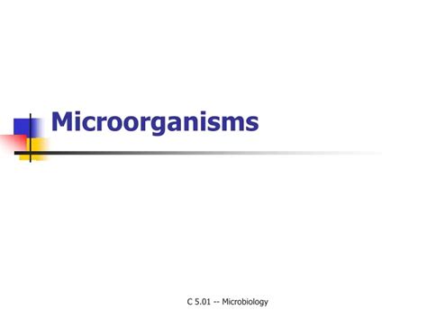 Ppt Microorganisms Powerpoint Presentation Free Download Id 9471137