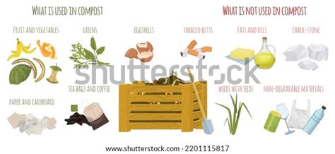 Compost Composting Flat Infographic What Used Stock Vector Royalty