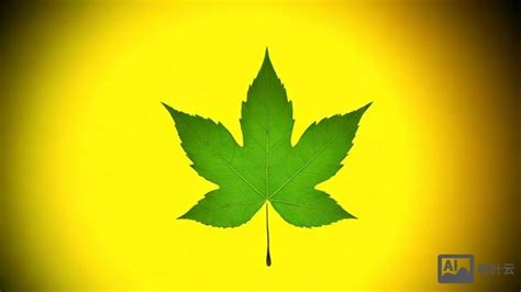 如何从mysql数据库中计算并提取叶子节点？ 树叶云