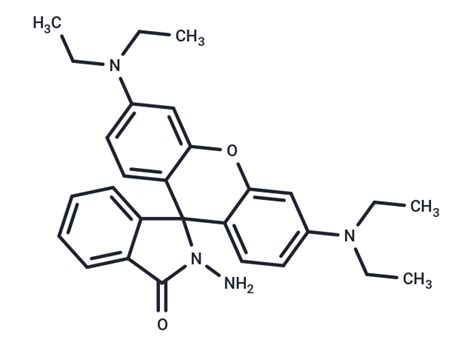 Rhodamine B Hydrazide Targetmol