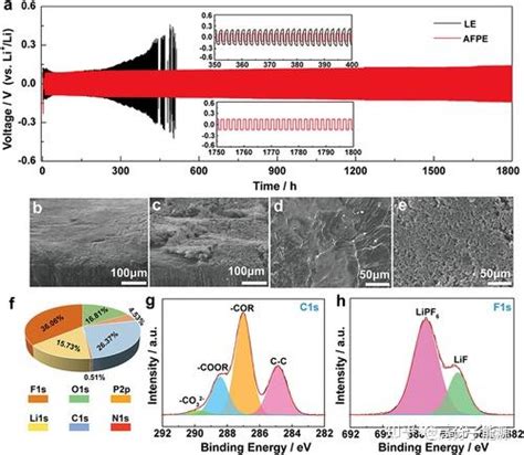 北京大学郭玉国团队AEM固态锂电池用双向功能聚合物电解质的设计 知乎