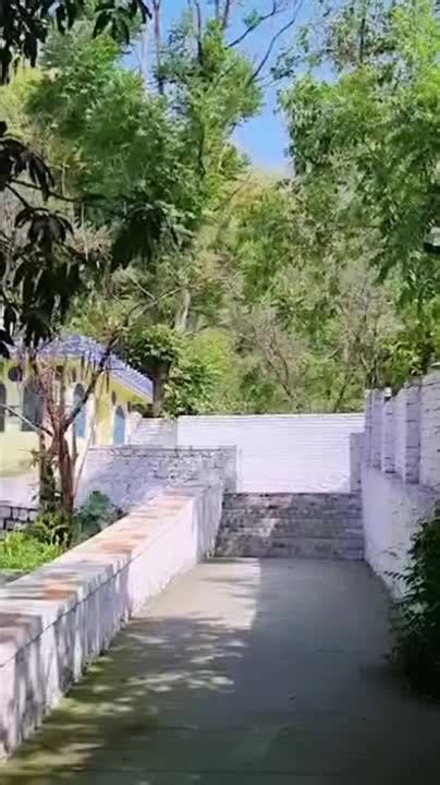 Dr Vimla Vyas On Linkedin Buddhajayanti Solitude Naturelovers