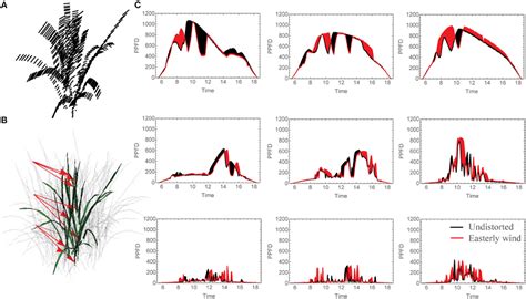 Frontiers The 4 Dimensional Plant Effects Of Wind Induced Canopy