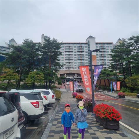 웰리힐리파크 워터파크 워터플래닛 온수풀 할인준비물 등 네이버 블로그