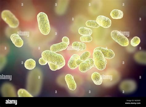 Porphyromonas Gingivalis Oral Bacteriumcomputer Illustrationp