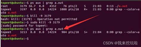 linux系统进程与进程间通信 linux 服务进程与gui进程通信 csdn博客