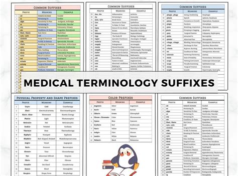 Medical Terminology Flashcards Prefixes Suffixes Digital Download
