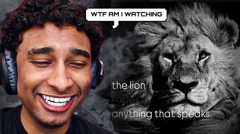 The Lion Dosent Concern Himself With Anything This Lion Must Be Stopped Tiktok Meme Reaction