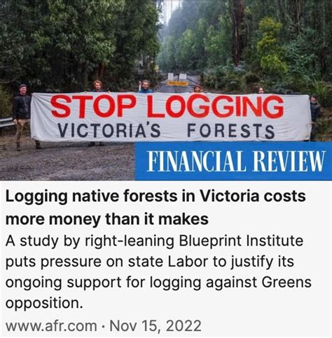 Afr Logging Native Forests In Victoria Costs More Money Than It Makes Victorian Forest Alliance