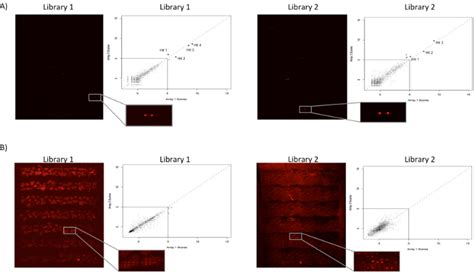 Extracellular Protein Microarray Technology For High Throughput Detection Of Low Affinity