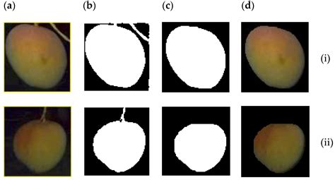 Horticulturae Free Full Text In Orchard Sizing Of Mango Fruit 1