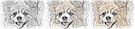 image colorization using cnn with opencv