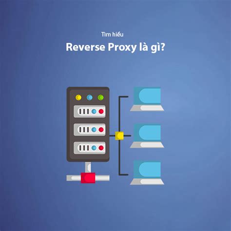 What Is Reverse Proxy A To Z Knowledge About Reverse Proxy