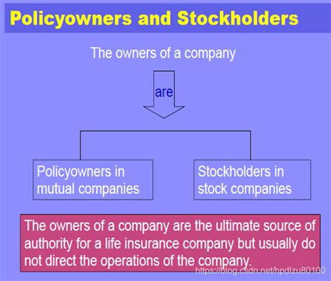保险业务与系统——loma 290 保险公司运营——第四讲——保险公司组织架构 保险组织架构职能及逻辑是什么 Csdn博客