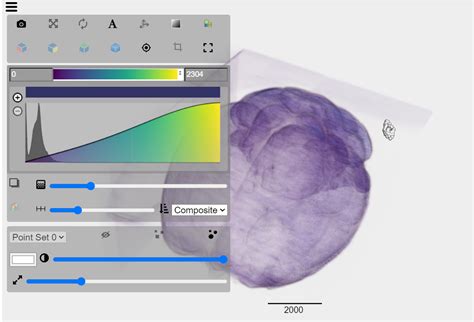 Cannot Overlay Point Set On Image Issue 606