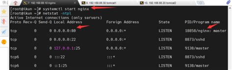 Linux进阶篇：nginx反向代理原理与案例详解linux Nginx 反向代理 Csdn博客